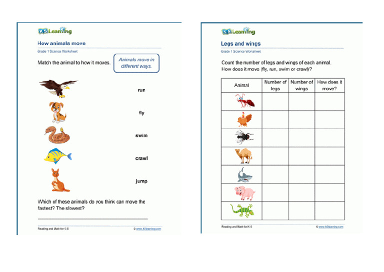 YEAR 1 WORKSHEET | PDF