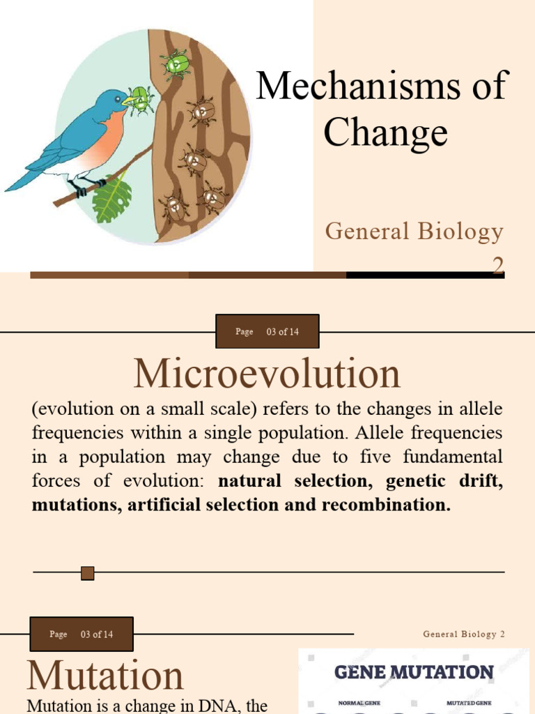 Mechanisms of Evolution | Download Free PDF | Natural Selection | Genetics