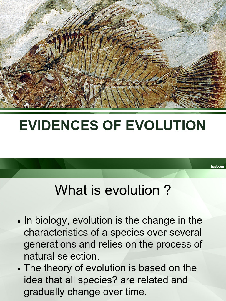 Key Evidence of Evolution | PDF | Homology (Biology) | Evolution