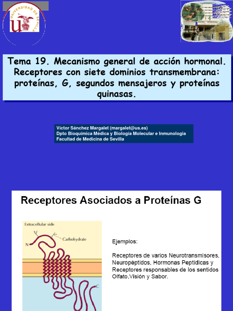 Tema 19 Receptores Prot G 2024 | PDF | Calcio | Biología