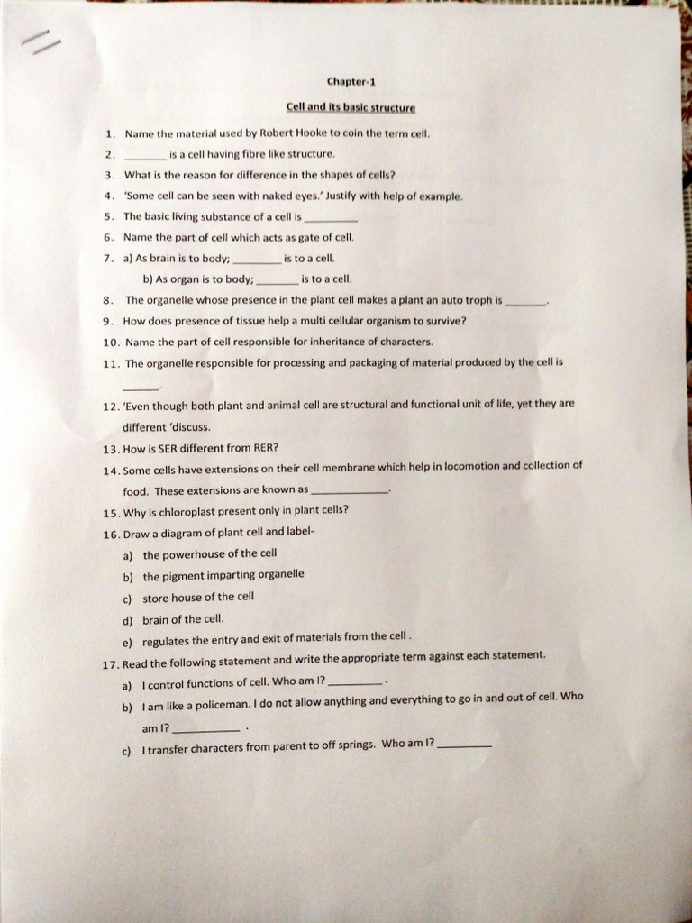 Science Dav Class 8 Sample Paper of Chapter 1 | PDF