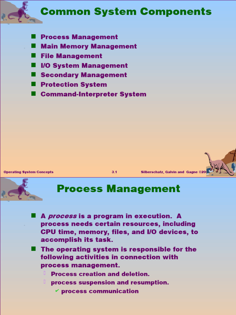 OS Concepts: System Components Guide | PDF | Computer Data Storage | Operating System