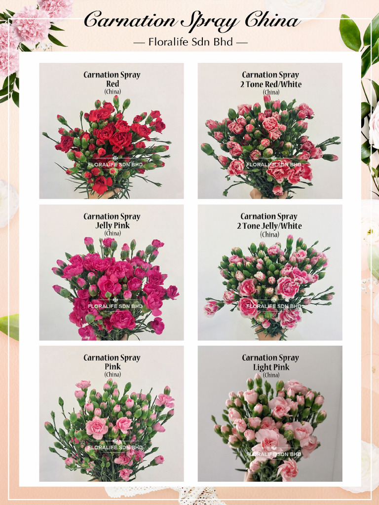 FL Carnation Spray China Catalogue 2023 | PDF