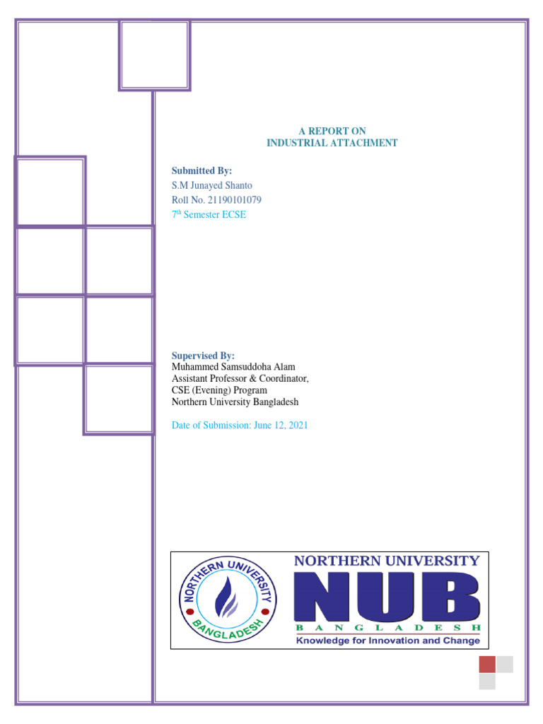 Internship Report at Software Dev | PDF | Software Development Process | Agile Software Development