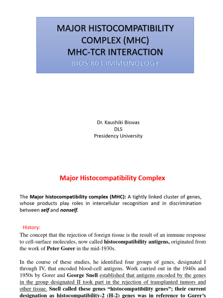 MHC: Structure, Function, and Interaction | PDF | Mhc Class I | Major Histocompatibility Complex