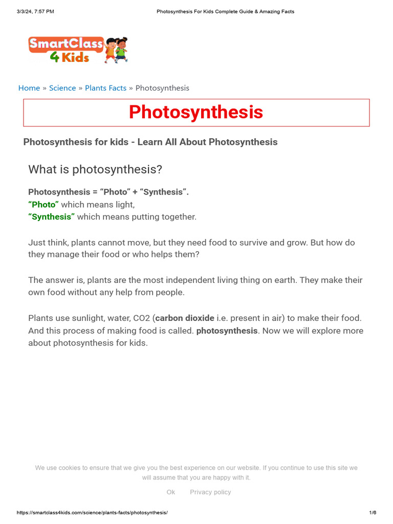 Photosynthesis For Kids Complete Guide & Amazing Facts | PDF ...