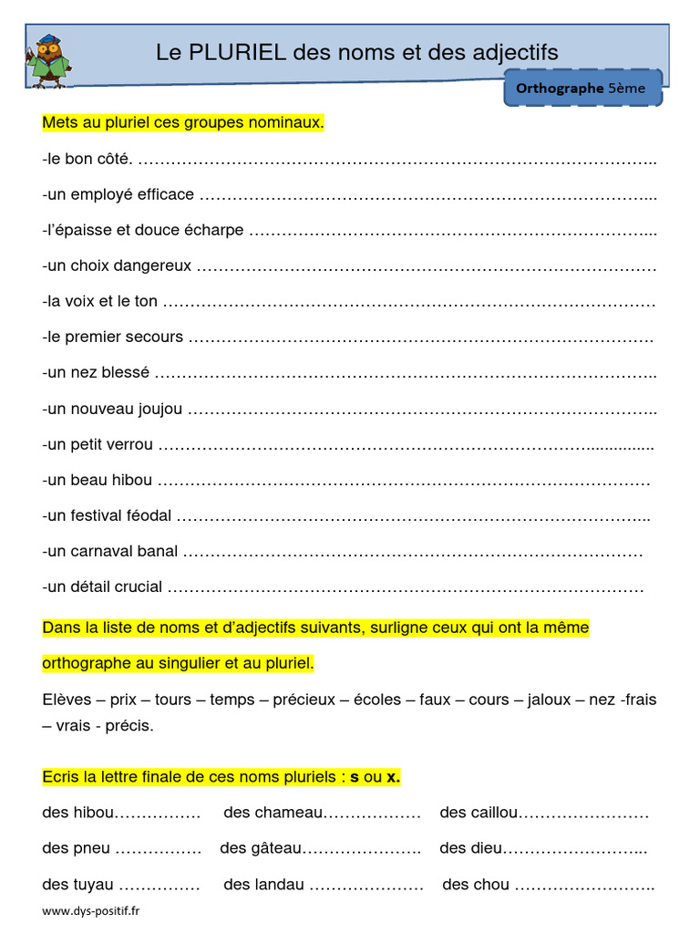 Exercices Le Pluriel Des Noms Et Des Adjectifs | PDF | Linguistique