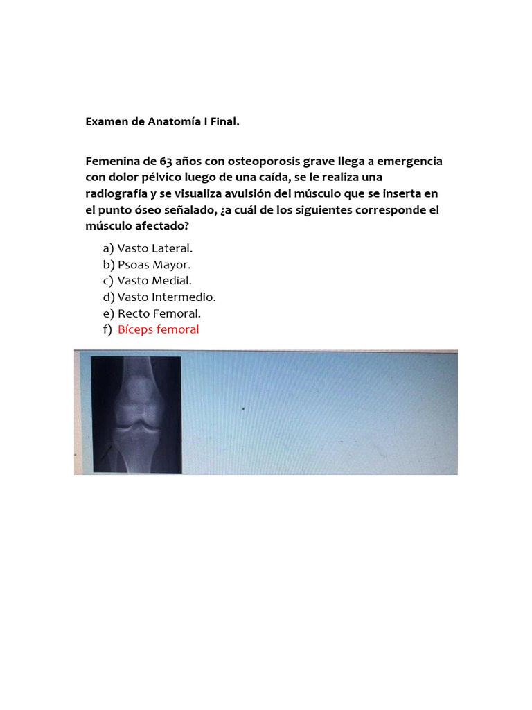 Abrir Examen de Anatomía I Final (Lab) 2 | Descargar gratis PDF | Tejido suave | Anatomía humana