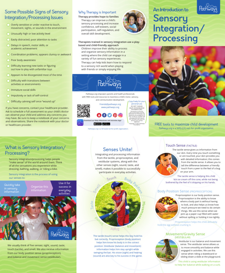 SensoryBrochure English LEGAL FOR-PRINT 2022 | PDF | Senses ...
