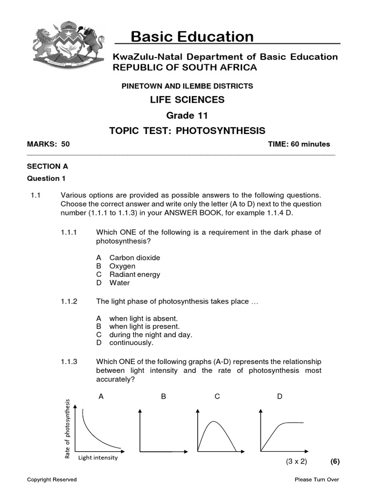Grade 11 Photosynthesis Test | PDF | Photosynthesis | Greenhouse