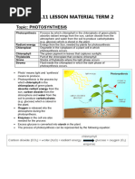 Photosynthesis Overview for Grade 11 | PDF | Chloroplast | Photosynthesis