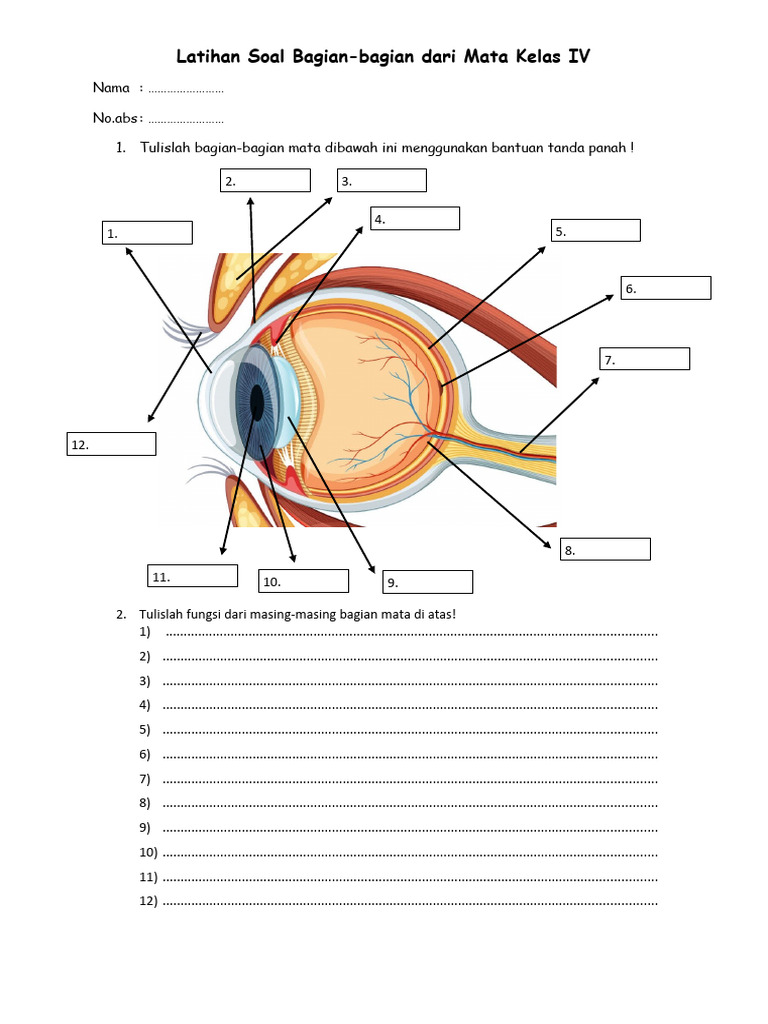Latihan Soal Bagian Mata (IPAS) Kelas 5 | PDF