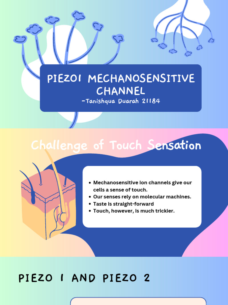 Piezo1 Mechanosensitive Channel | Download Free PDF | Cell Membrane ...