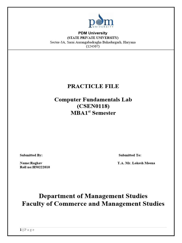 MBA BBA LAB 1sem | PDF | Microsoft Word | Printer (Computing)