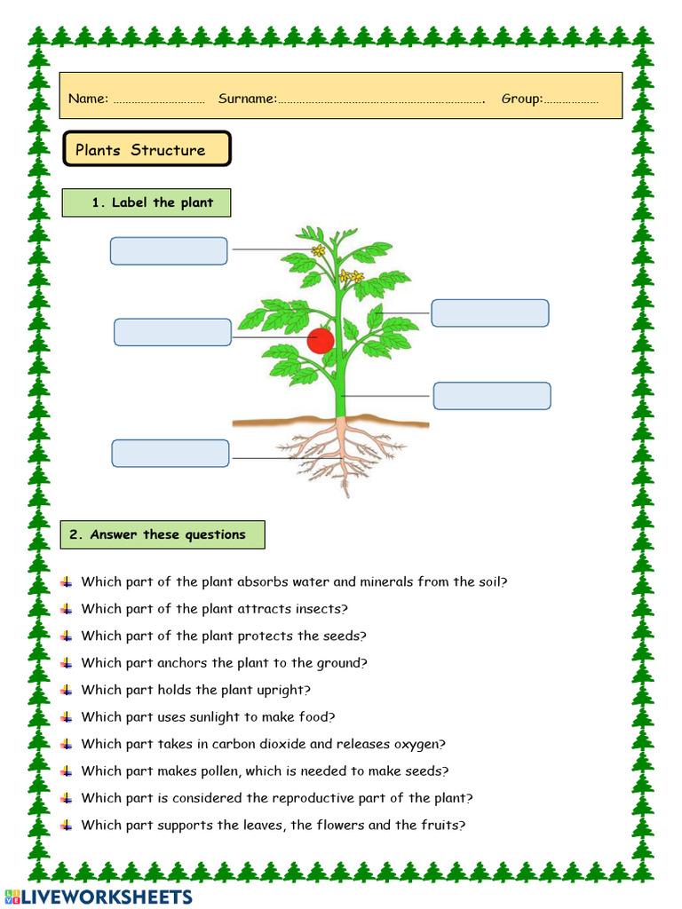 parts of the plant 2 | PDF