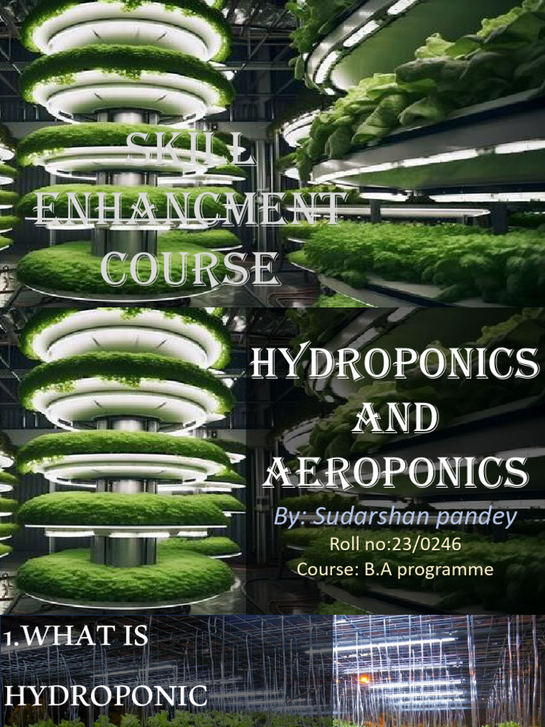 Hydroponics | PDF | Hydroponics | Horticulture