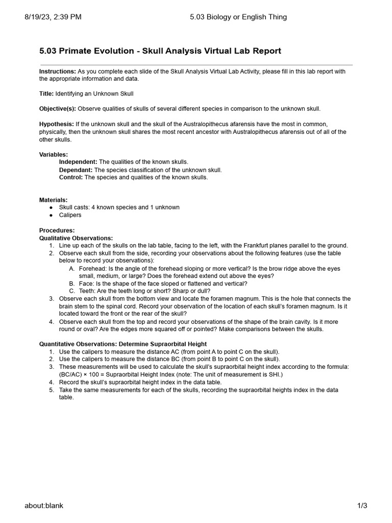 Primate Skull Analysis Lab Report | PDF | Human Evolution | Skull