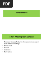 Carron's Model of Team Cohesion Factors | PDF | Leadership | Group ...