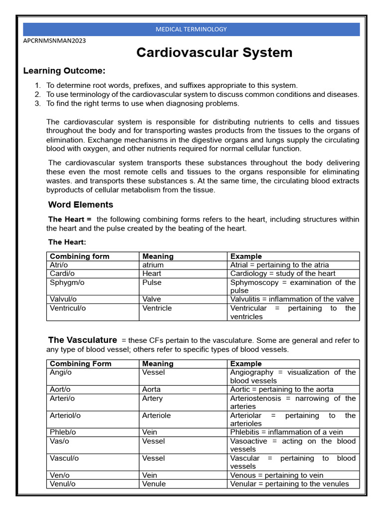 MED TERM Cardiovascular System (1) | PDF | Heart | Blood Vessel