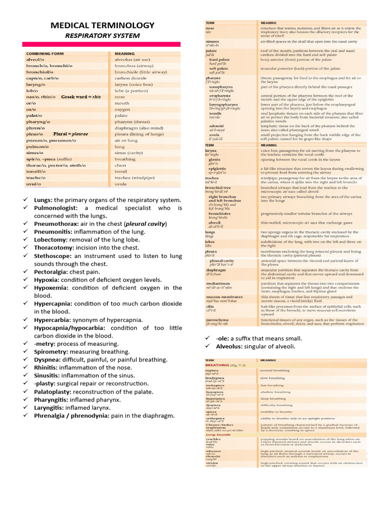 Medical Terms for Respiratory & Blood Systems | PDF | Lymphatic System ...
