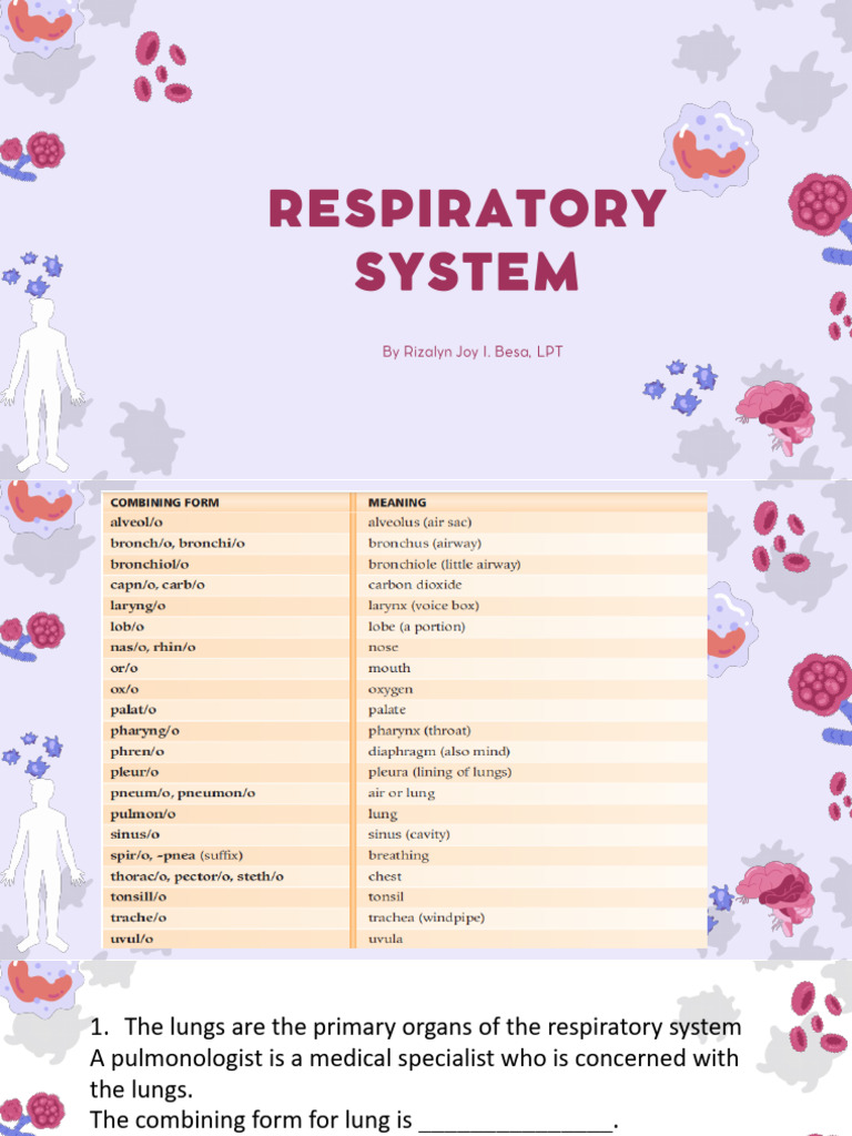 Respiratory SYstem | Download Free PDF | Respiratory Tract | Lung