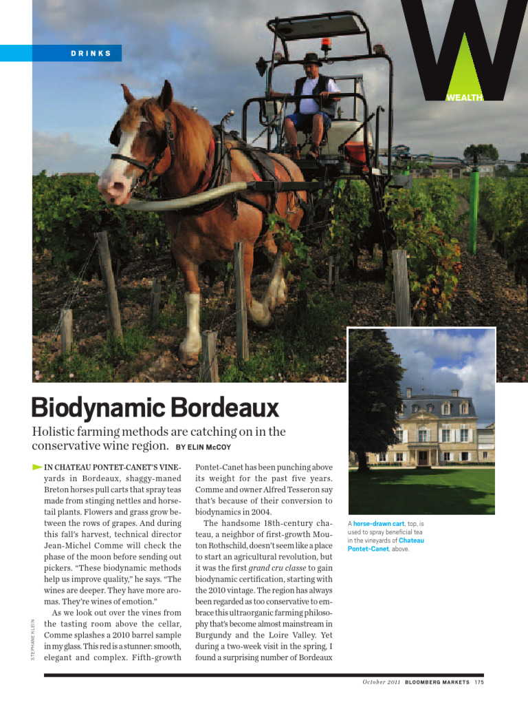 Biodynamic Bordeaux | PDF | Wine | Vineyard