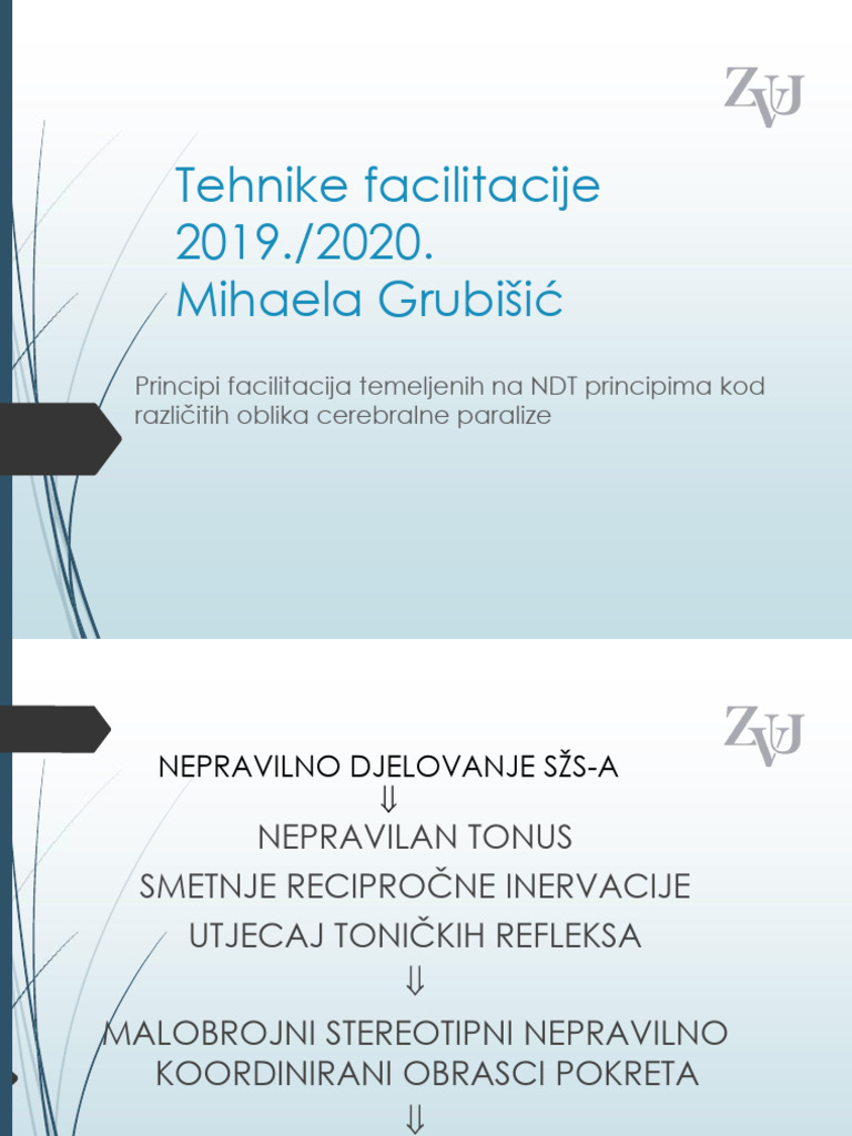 Tehnike Facilitacije | PDF