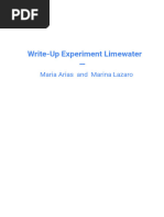 Lime Water Experiment | PDF