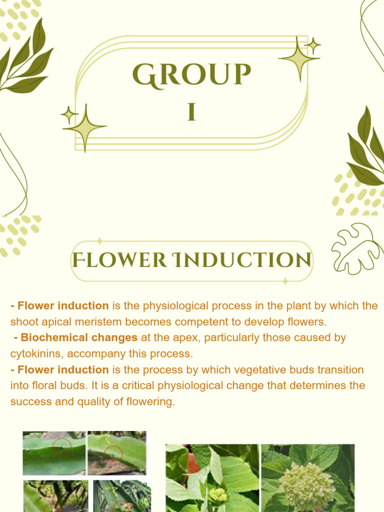 Factors of Flower Induction | PDF | Plant Hormone | Flowers