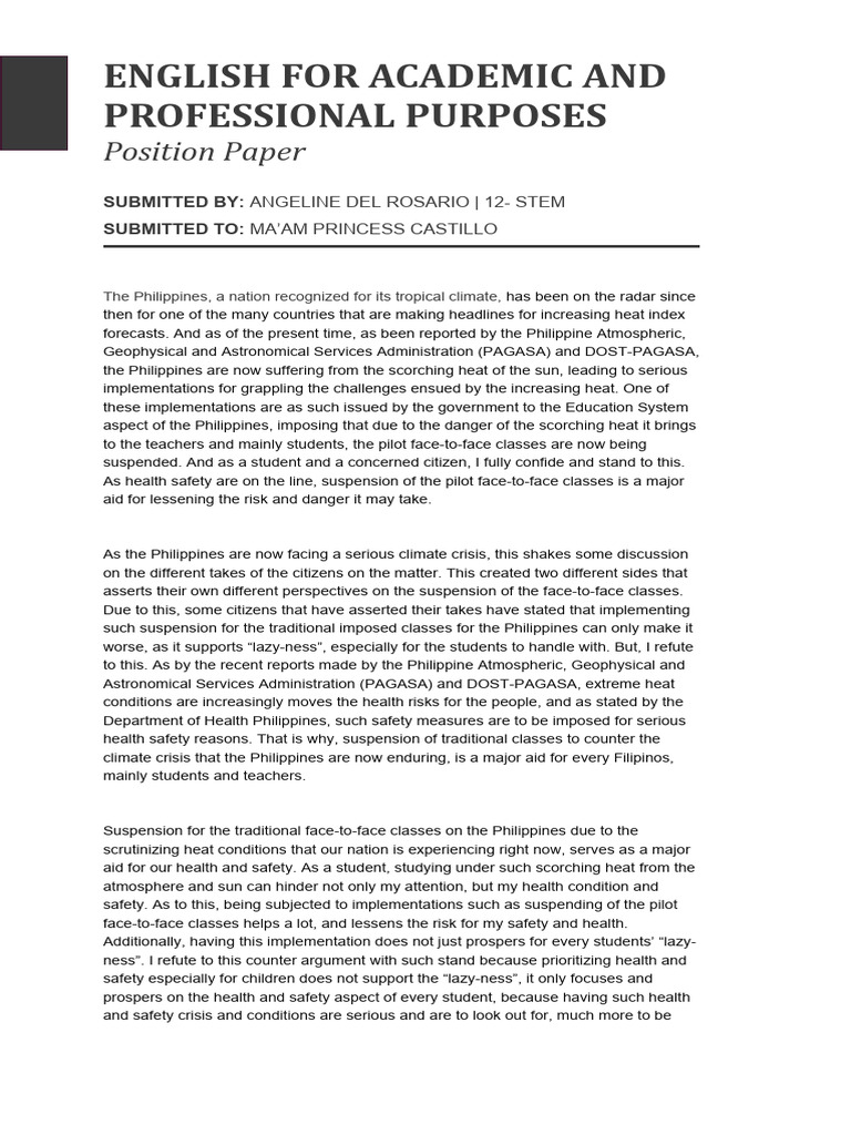 Position Paper | PDF