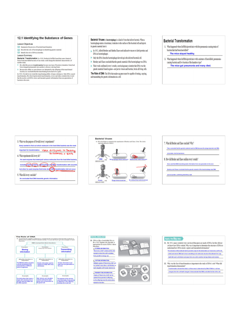Dna Experiments Explained | PDF