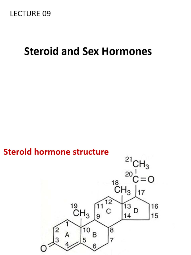 TTH Hormone and Steroid Synthesis | PDF | Testosterone | Luteinizing ...