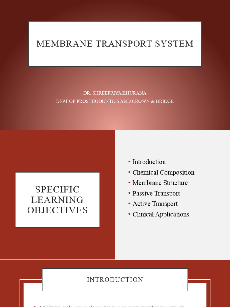 Membrane Transport System Guide | PDF | Cell Membrane | Membrane Potential