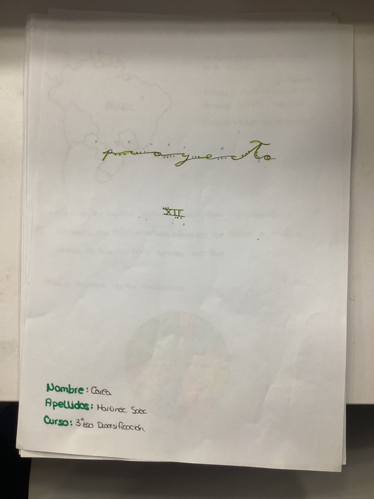 proyecto 12 carla martinez | PDF