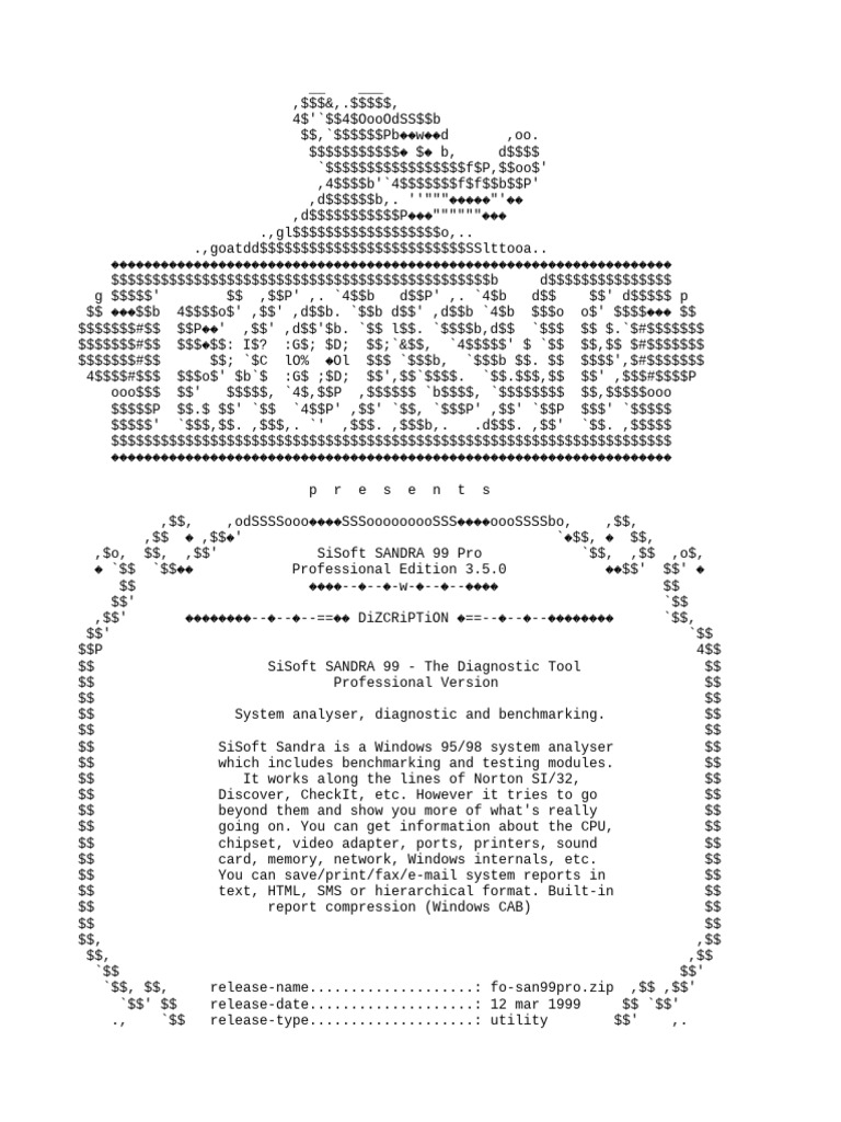 SiSoft Sandra 99 Pro Diagnostic Tool | PDF | X86 Architecture ...