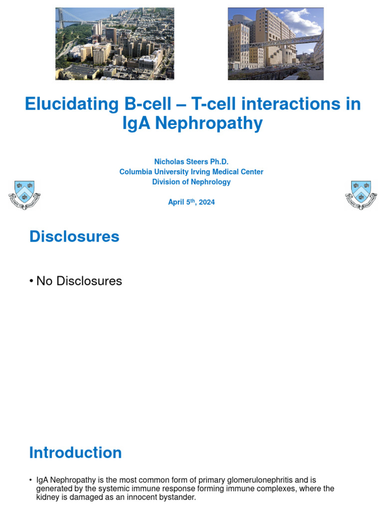 2024-04-05 - 09-30 - Elucidating B-cell-T-cell Interactions in IgA ...