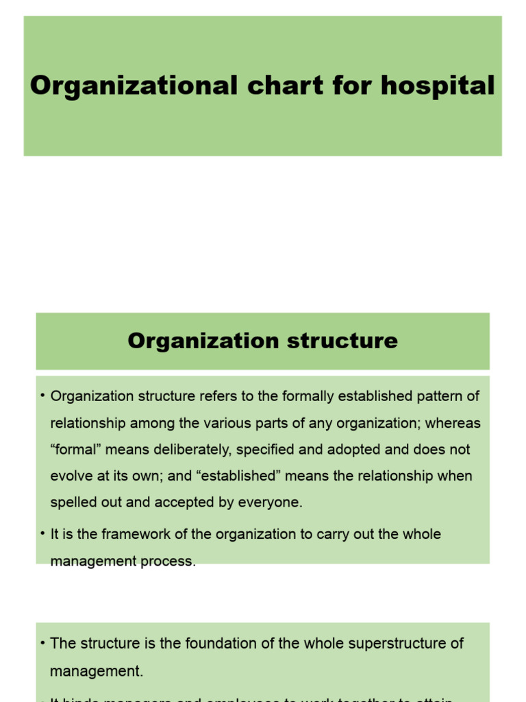 Seminar On Organization Structure of Hospital | PDF | Hierarchy | Business