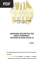 Caractéristiques des incisives dentaires | PDF | Anatomie dentaire | Bouche
