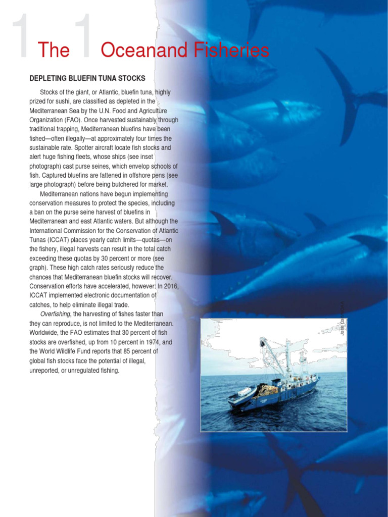 Buku Ocean Fishery | PDF | Oceans | Atmospheric Circulation
