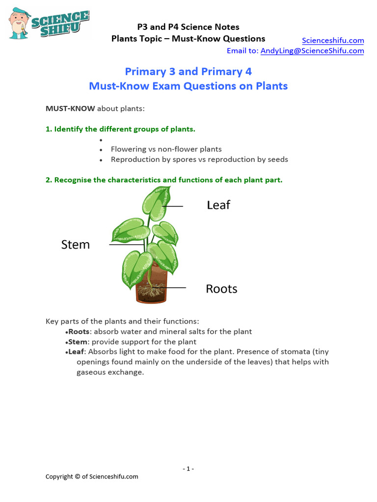 ScienceShifu Notes - P3 and P4 Plants Topic - Must Know Exam Questions ...