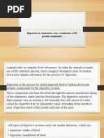Sheep Digestive System Overview | PDF | Digestion | Ruminant