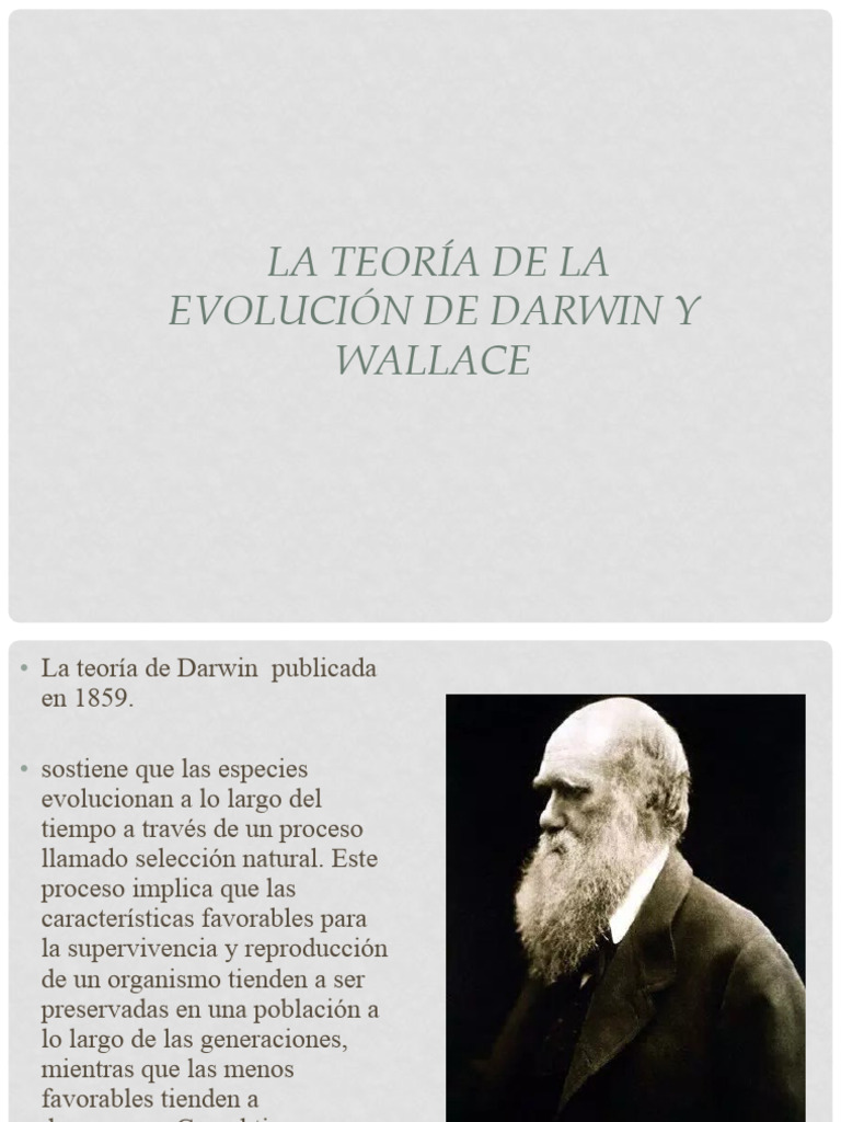 La Teoría de La Evolución de Darwin | PDF | Evolución | Seleccion natural