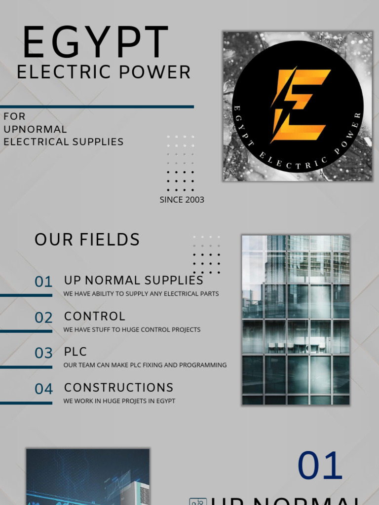 Profile Company Eep | PDF | Programmable Logic Controller | Relay