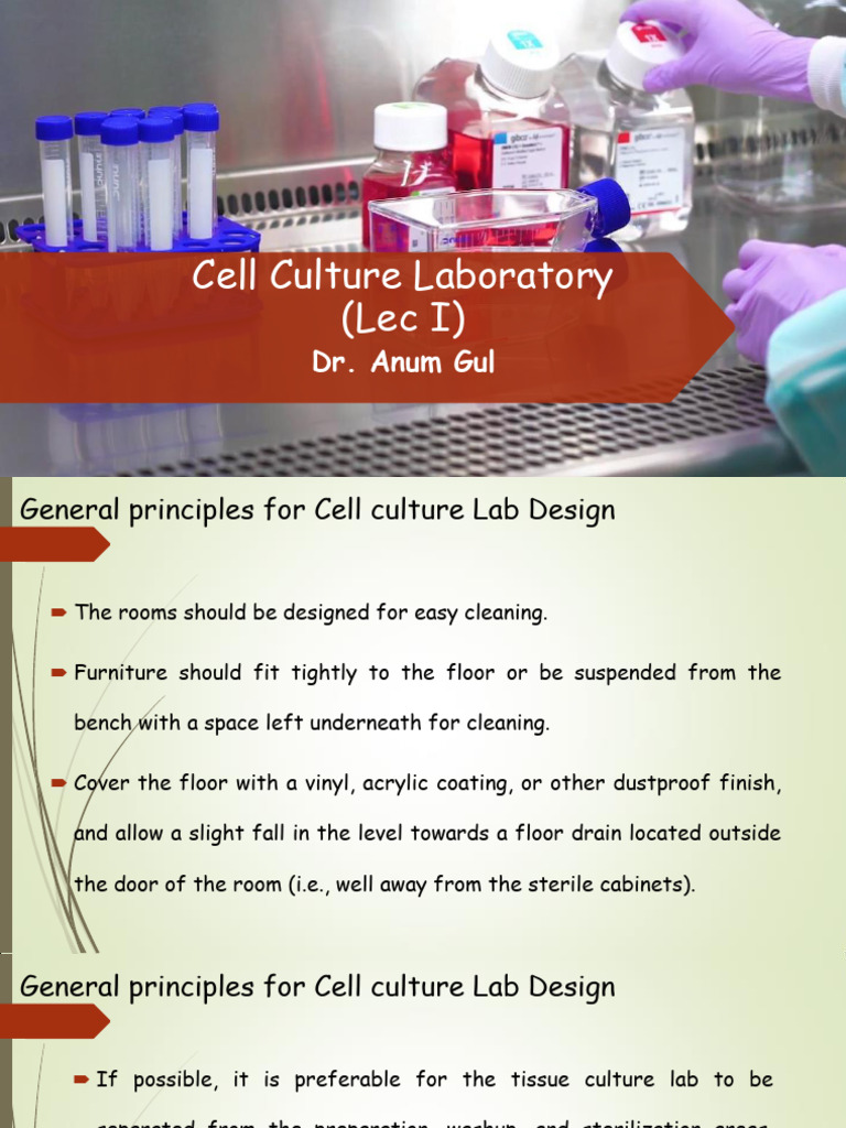 Cell Culture Laboratory (Lec I) | PDF | Science & Mathematics