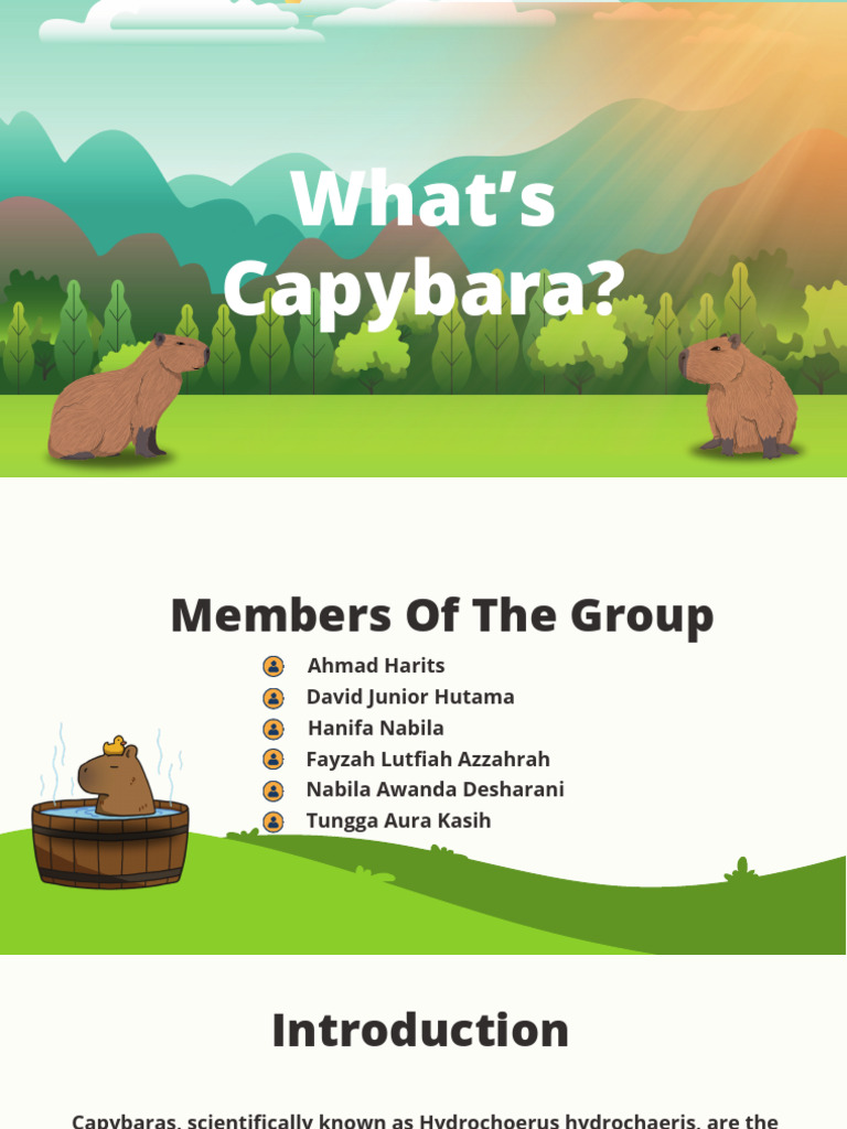 What's Capybara | Download Free PDF | Ecology | Natural Environment