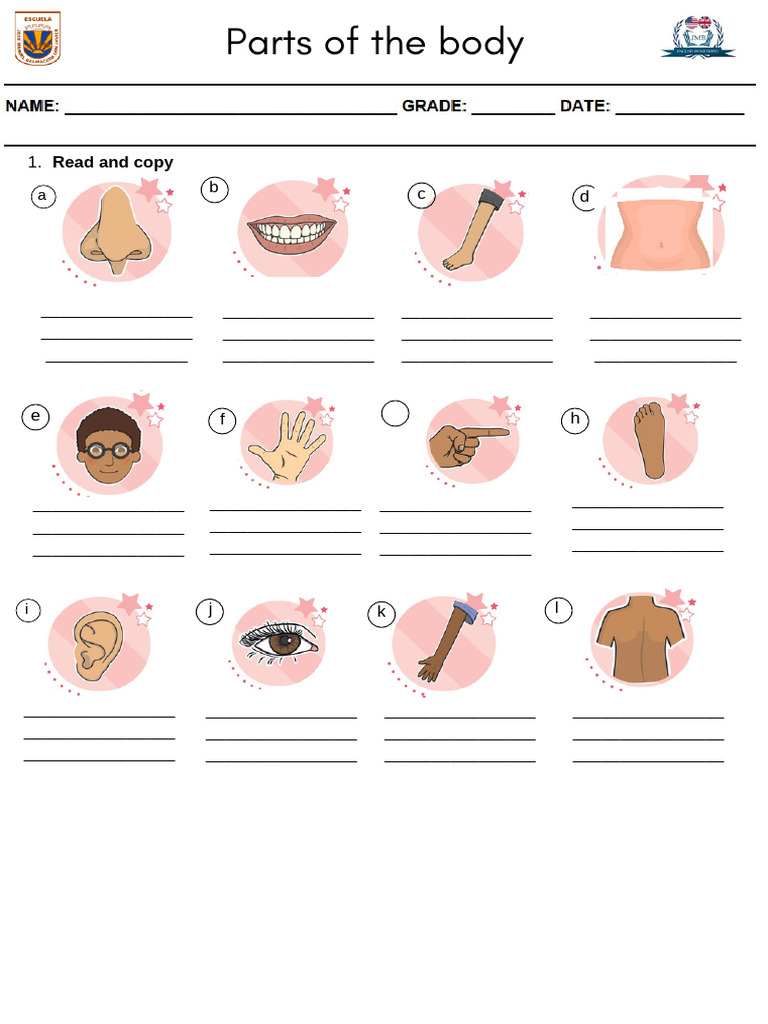 Body Parts Worksheet | PDF