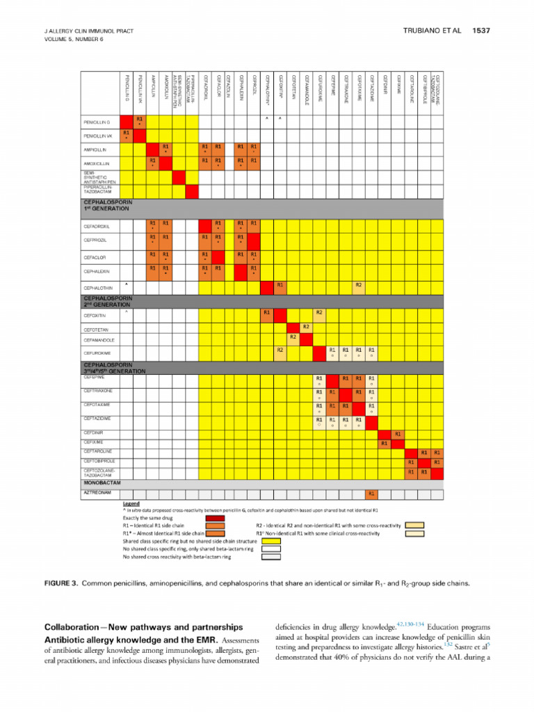 BLactam Cross Reactivity Chart | PDF