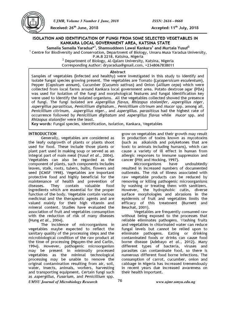 Isolation and Identification of Fungi From Some Selected Vegetables in Kankara Local Government ...