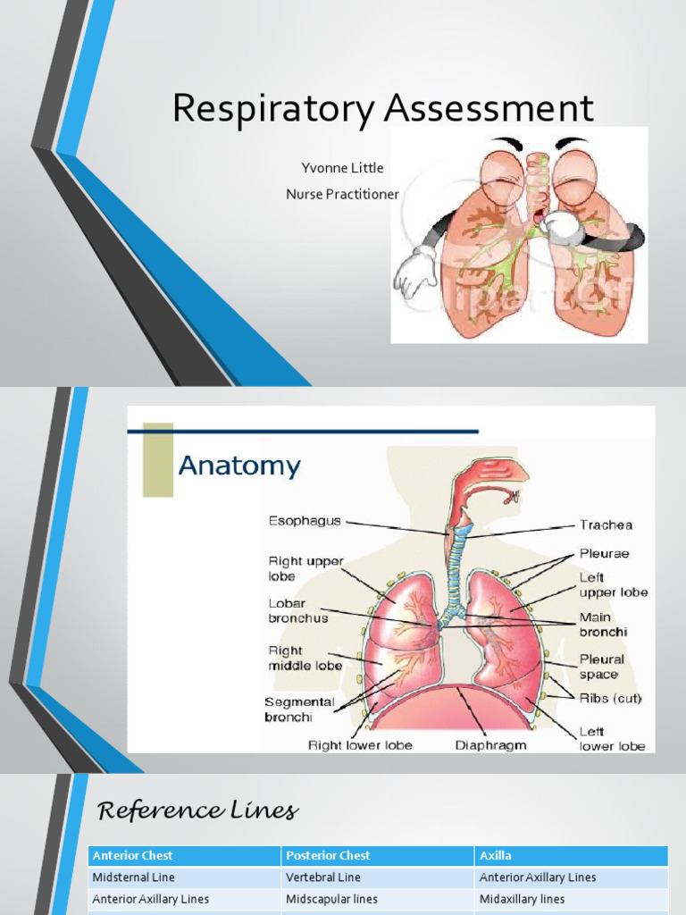 Respiratory Assessment pdf | Download Free PDF | Lung | Respiratory ...