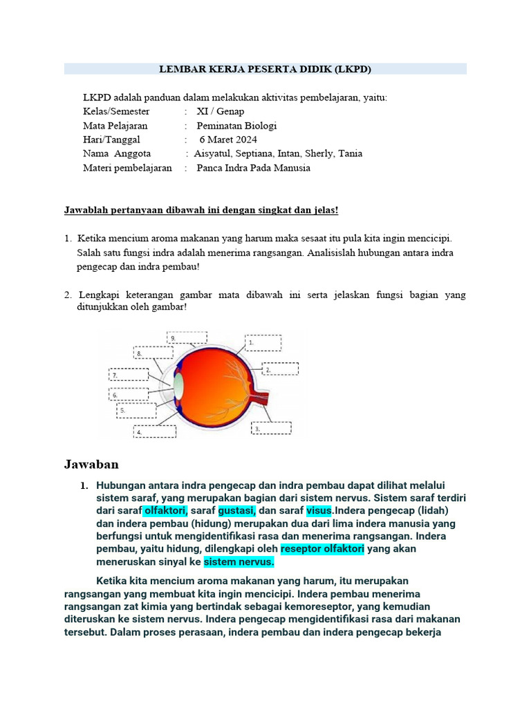 Hubungan Indra Pengecap dan Pembau | PDF